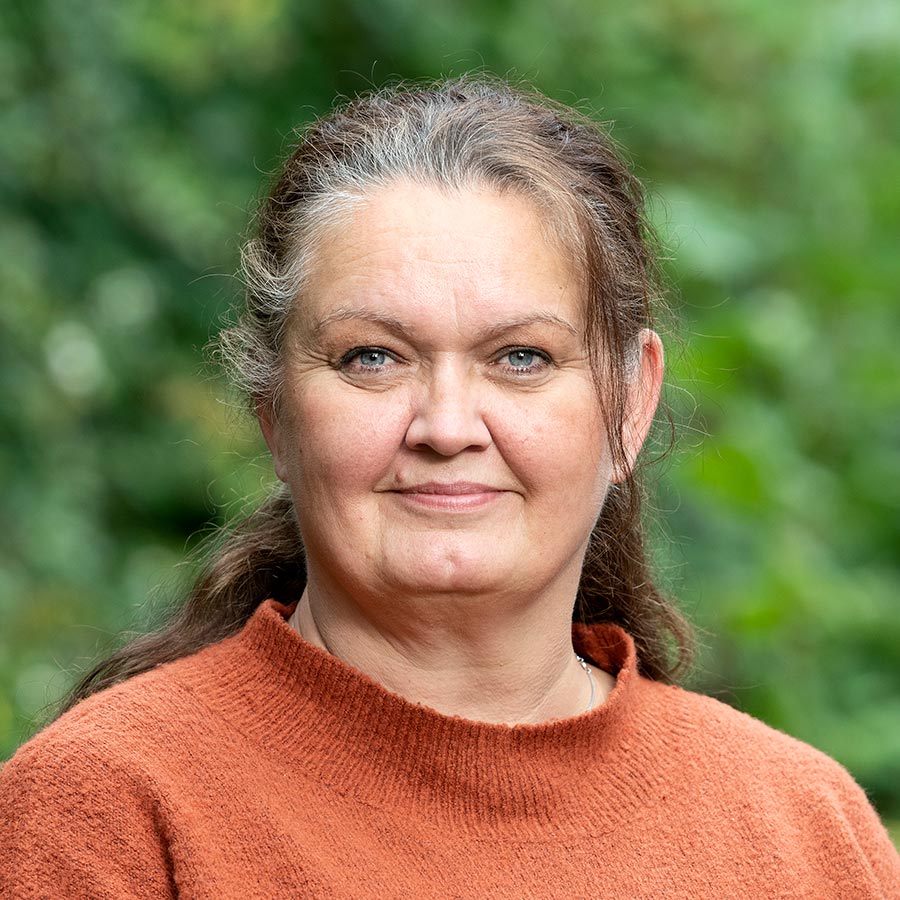 Mellemtrin – Ballerup Ny skole